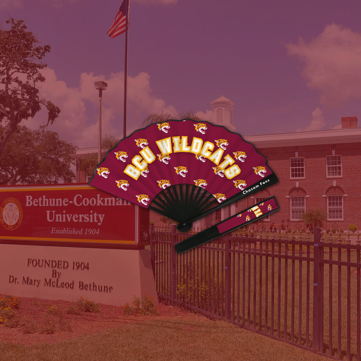 HBCUs – Chazam Fans