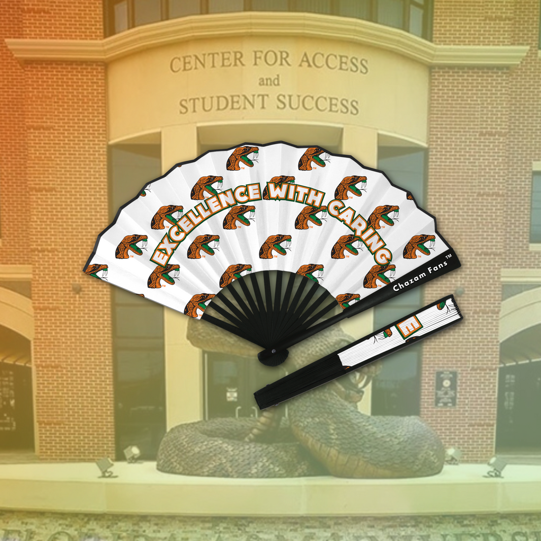 HBCUs – Chazam Fans