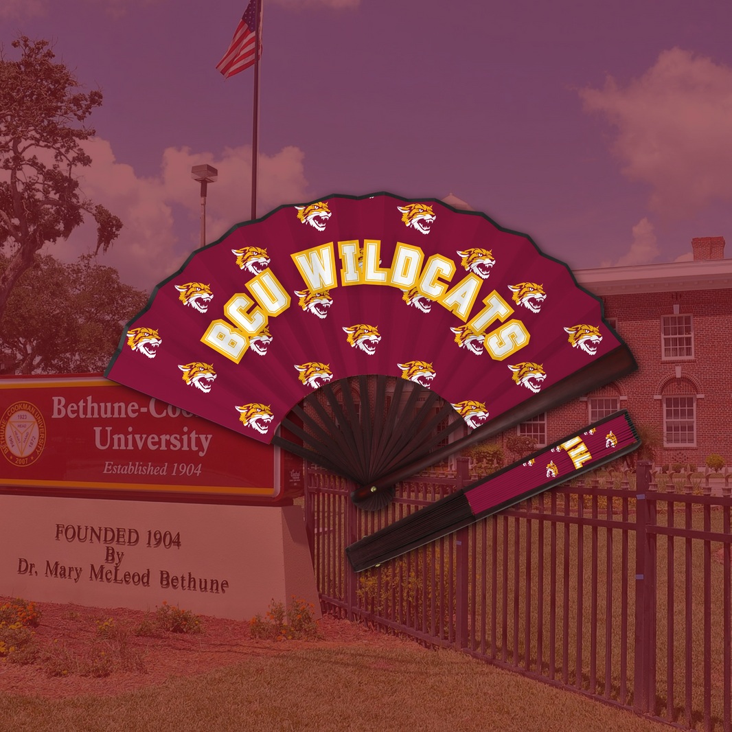 HBCUs – Chazam Fans